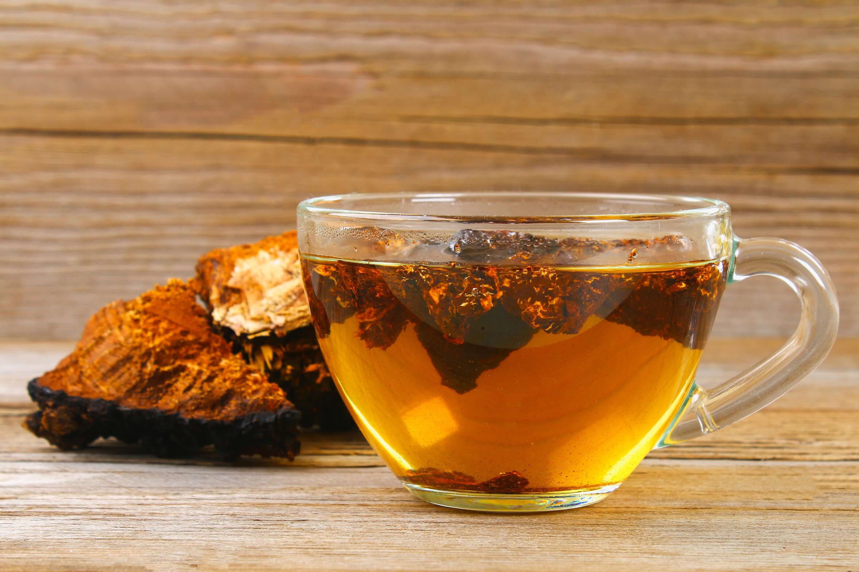 Understanding Chaga's Unique Taste and How to Enhance It – AlaskaChaga