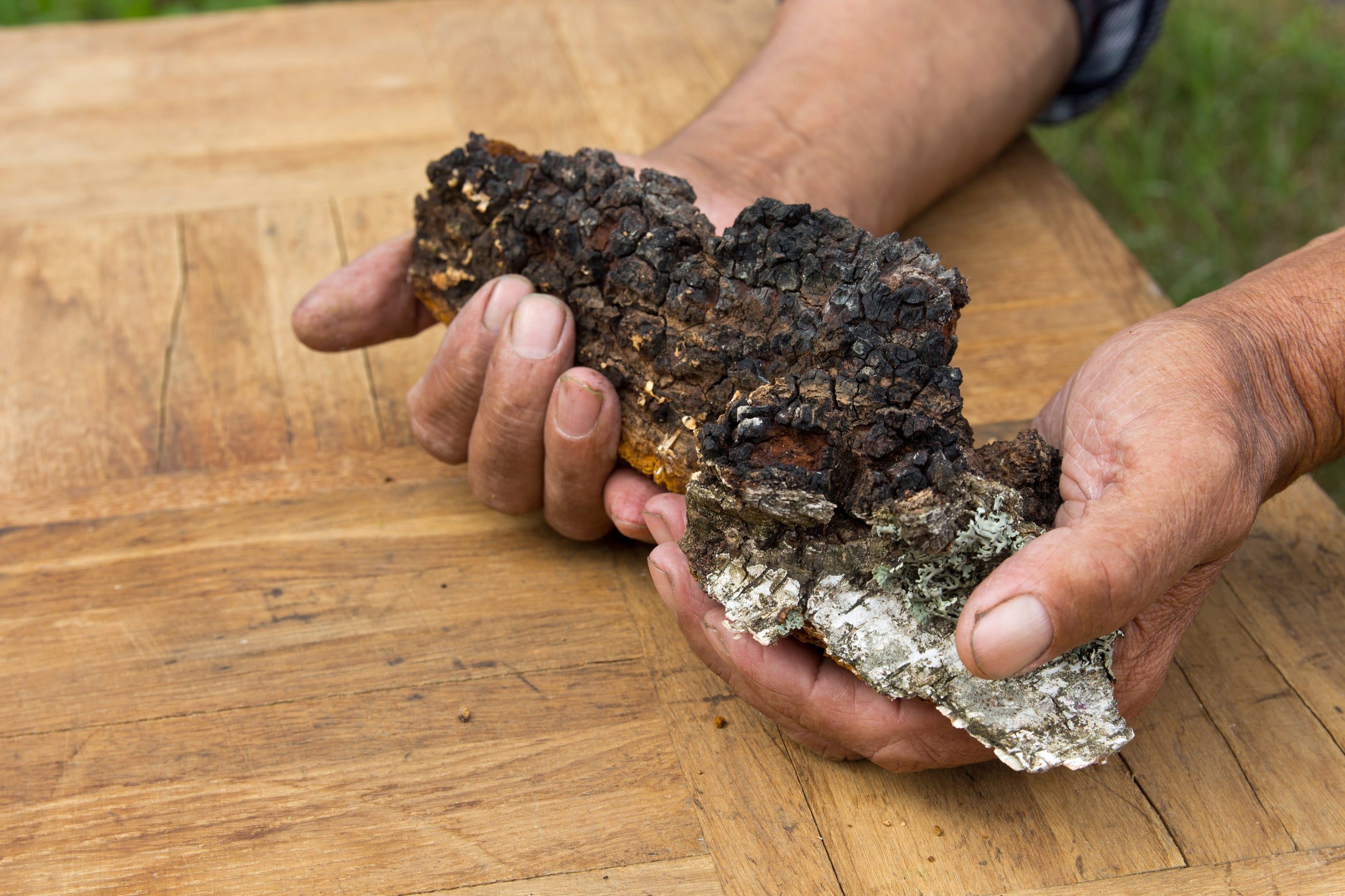 Discover the Vitamin Riches of Chaga: A Superfood Powerhouse – AlaskaChaga